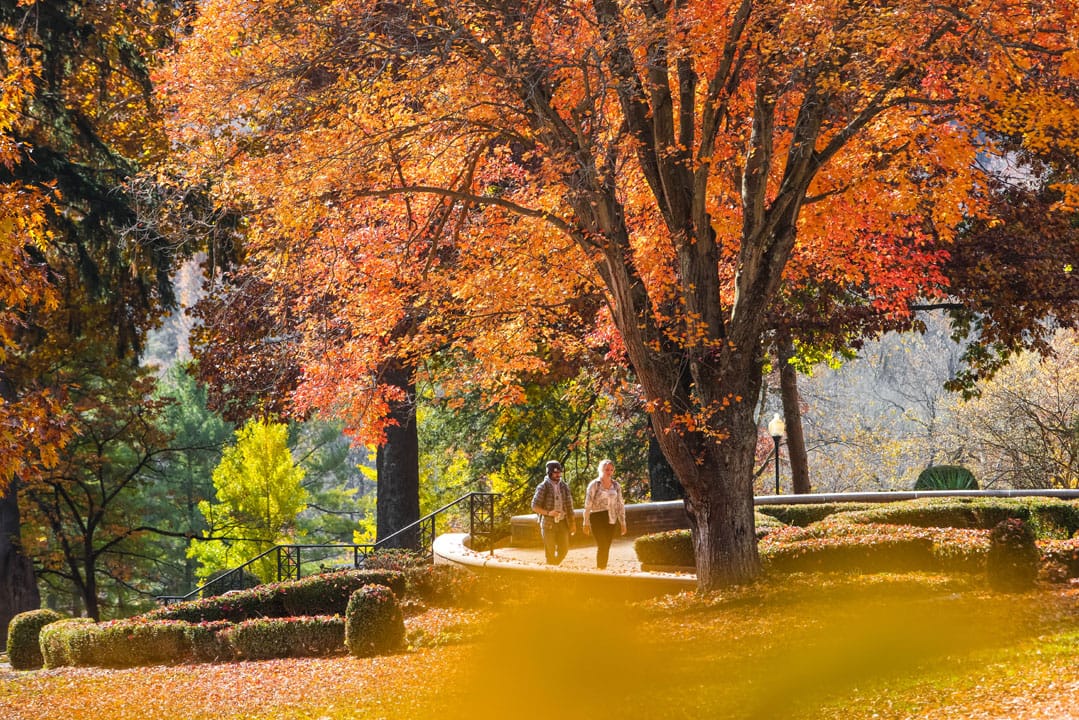 Programs - Bethany College